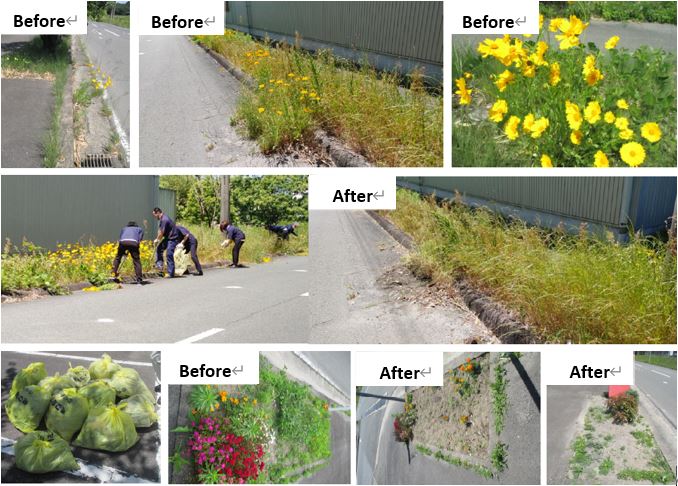 Social Contribution Activity: Extermination of Invasive Plants ...